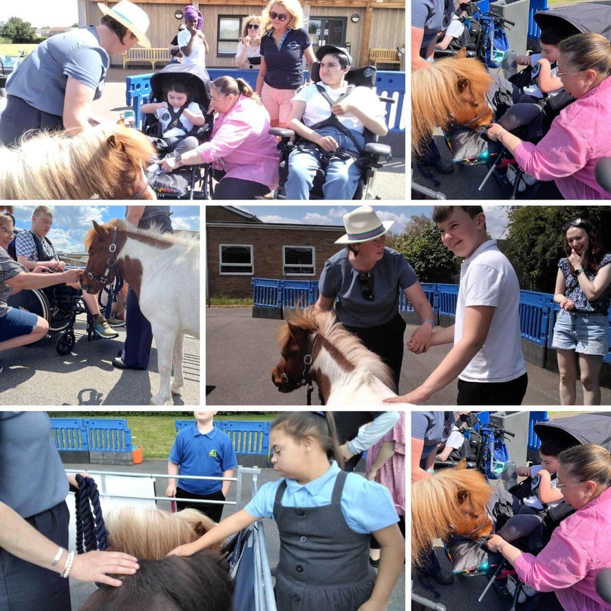 Fun at the fair with the Keysoe Cuddle Ponies at Spring Common Academy