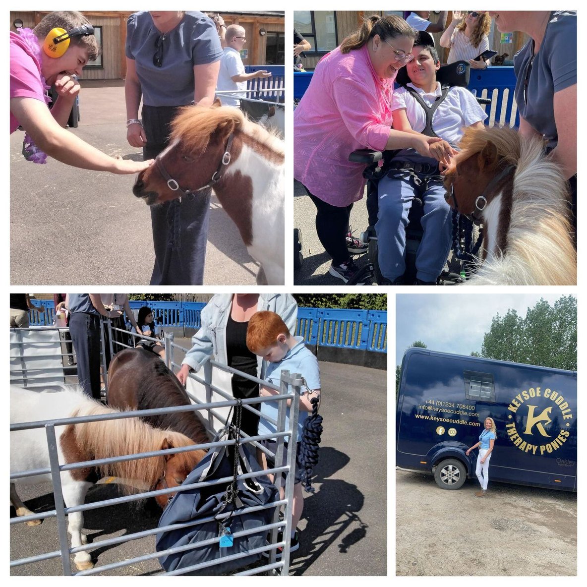 Fun at the fair with the Keysoe Cuddle Ponies at Spring Common Academy