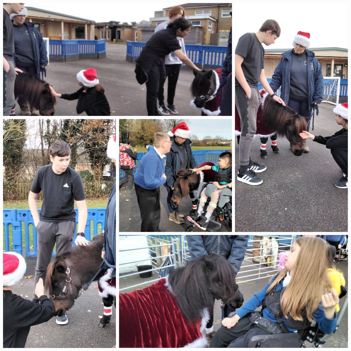 Christmas Joy with the Keysoe Cuddle Ponies at Spring Common Academy