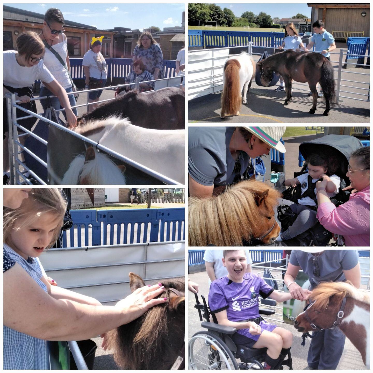 Fun at the fair with the Keysoe Cuddle Ponies at Spring Common Academy