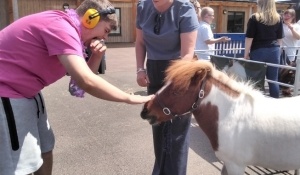 Fun at the fair with the Keysoe Cuddle Ponies at Spring Common Academy